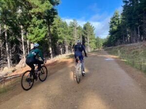 Top Bike Routes Victoria: Best Road, Gravel & Bikepacking Cycling Routes