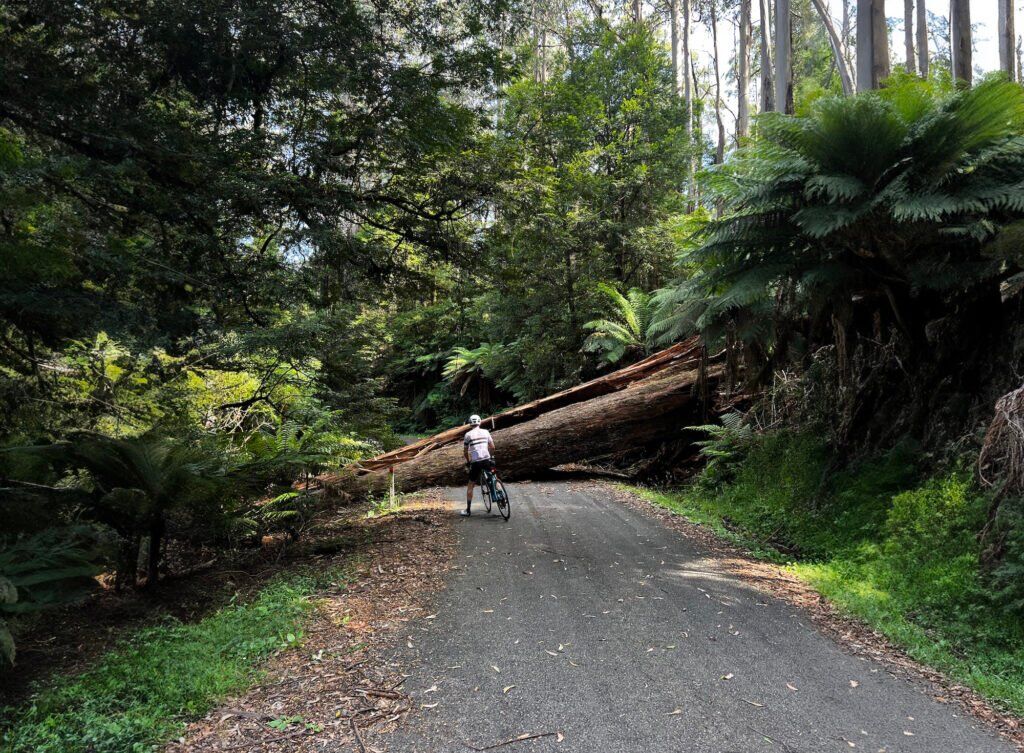 Top Bike Routes Victoria: Best Road, Gravel & Bikepacking Cycling Routes