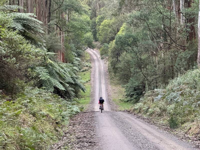 Top Bike Routes Victoria: Best Road, Gravel & Bikepacking Cycling Routes