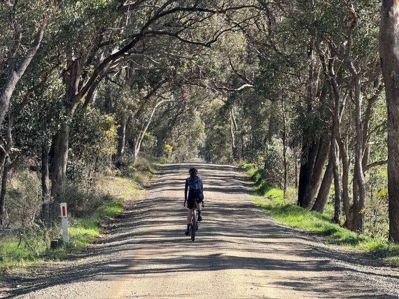 Top Bike Routes Victoria: Best Road, Gravel & Bikepacking Cycling Routes